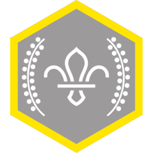Chief Scout's Awards - GLNE-Scouts