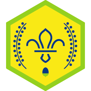 Chief Scout's Awards - GLNE-Scouts